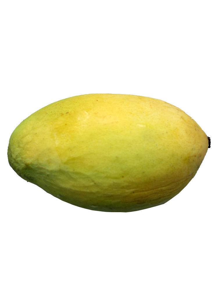 Edgar Mango Tree – Utopia Trees