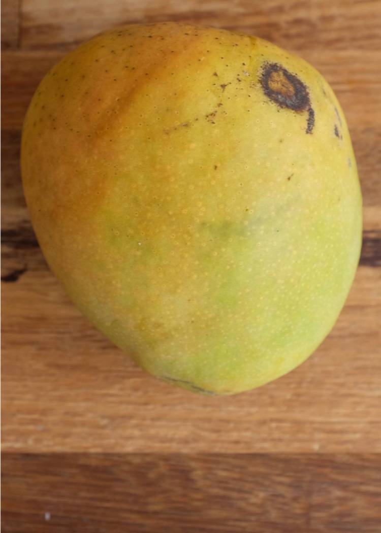 Triple Sec Mango Tree – Utopia Trees